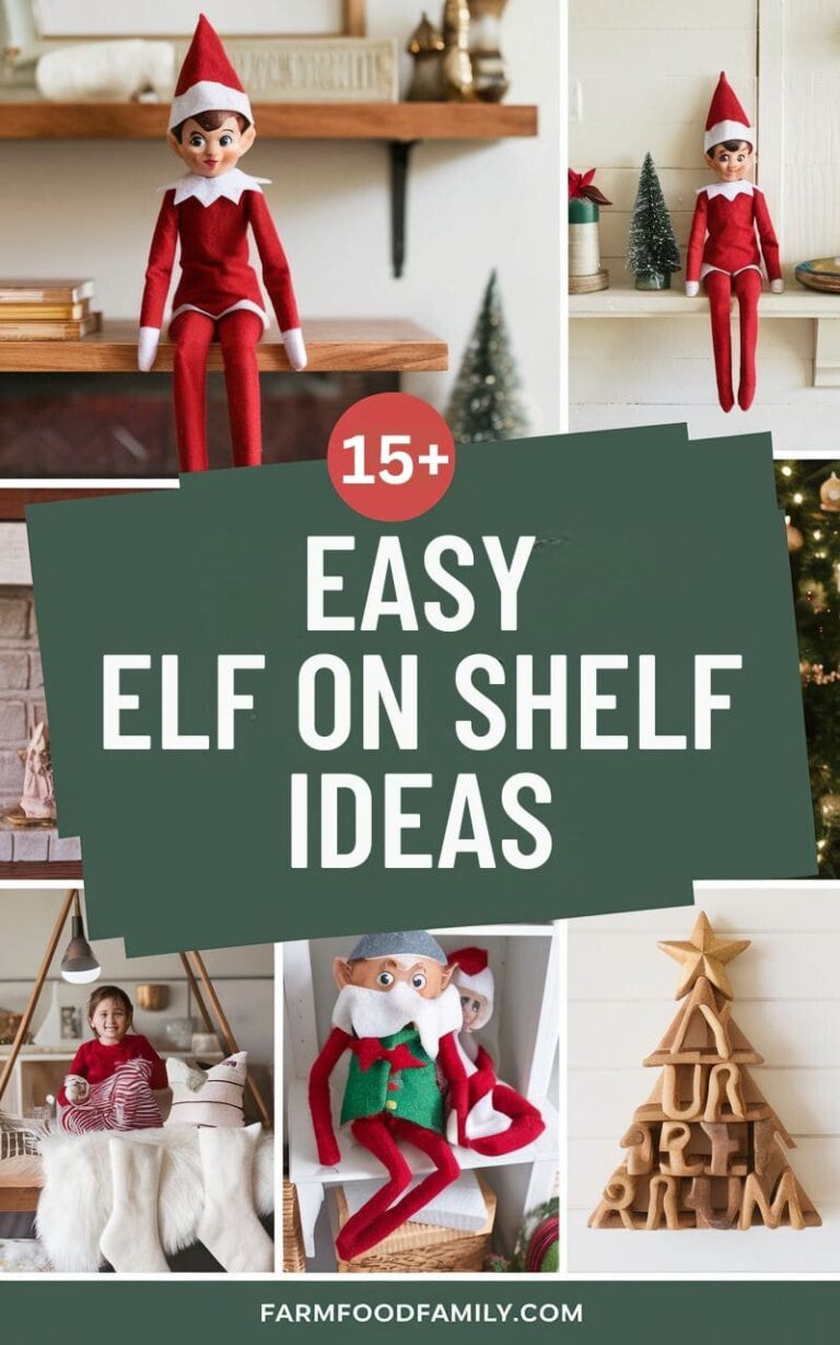 15+ Fun & Simple Elf on Shelf Ideas For This Christmas - FarmFoodFamily