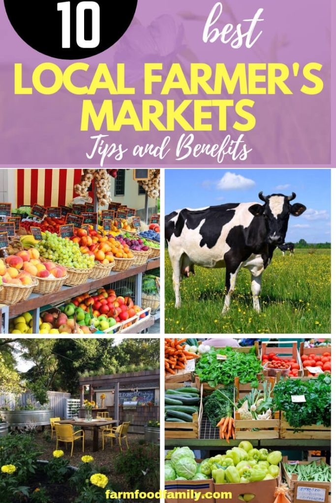 Local Farmer's Markets Tips And Benefits - FarmFoodFamily