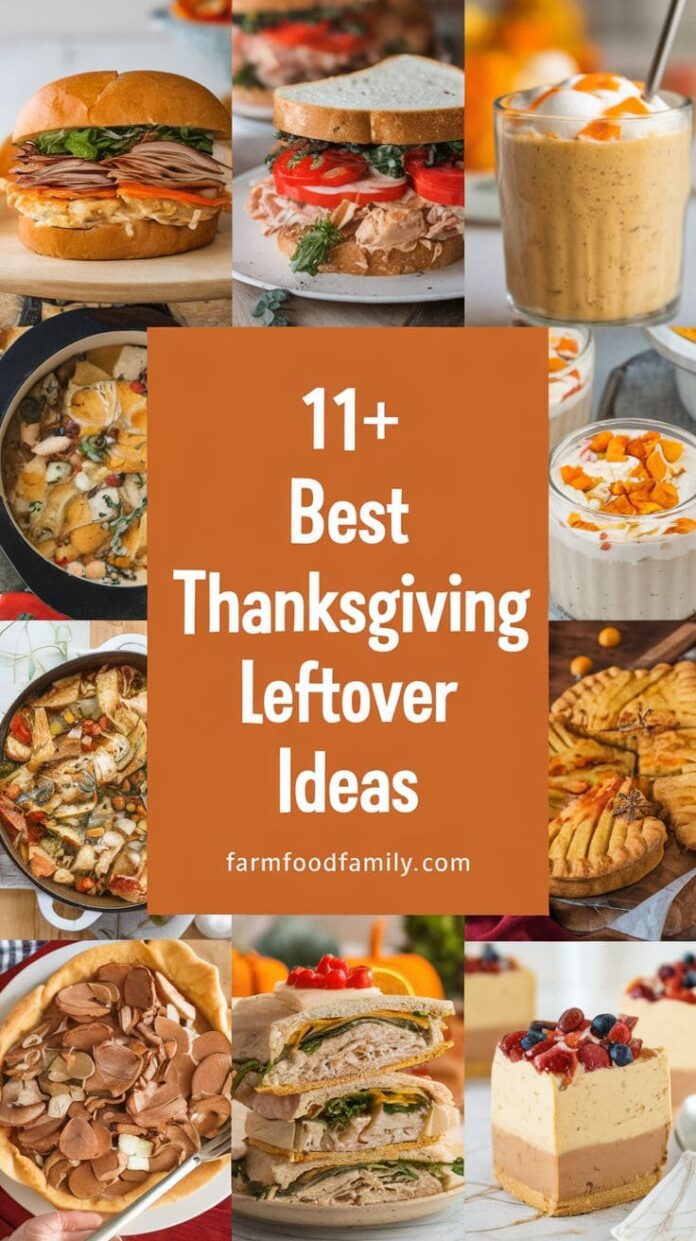 11 Ideas For Thanksgiving Leftovers - FarmFoodFamily