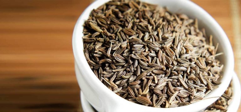 Caring For Caraway Plants in Your Herb Garden - FarmFoodFamily