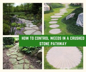 How to Control Weeds in a Crushed Stone Pathway - FarmFoodFamily