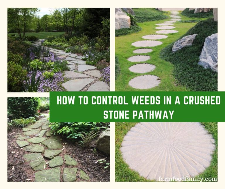How to Control Weeds in a Crushed Stone Pathway - FarmFoodFamily