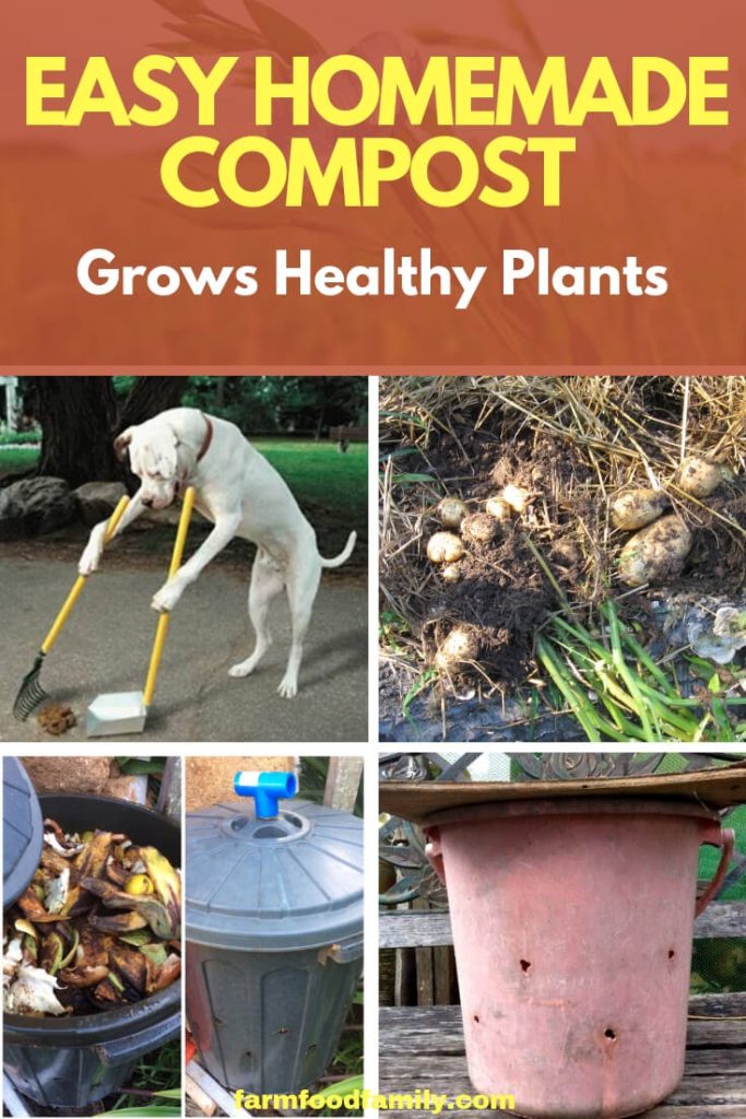 Easy Homemade Compost Grows Healthy Plants - FarmFoodFamily