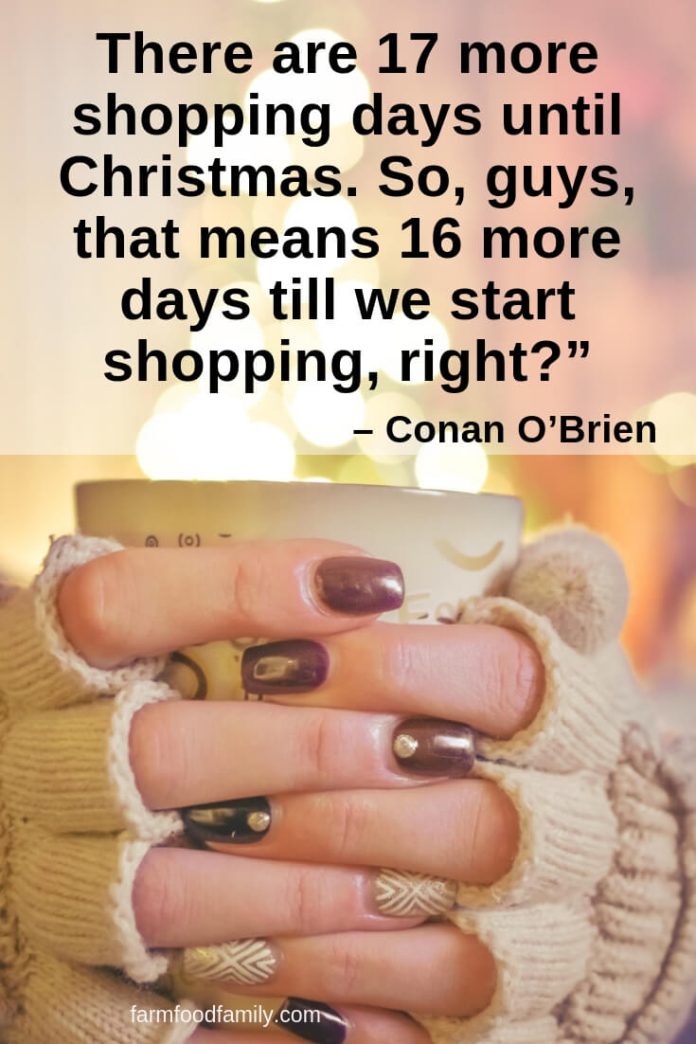 30+ Funny Christmas Quotes & Sayings That Make You Laugh