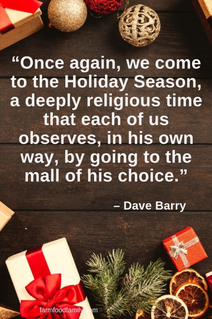 30+ Funny Christmas Quotes & Sayings That Make You Laugh