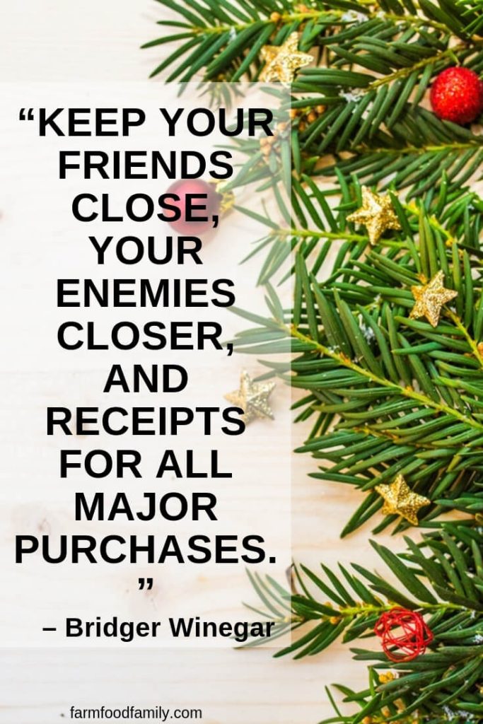 30+ Funny Christmas Quotes & Sayings That Make You Laugh