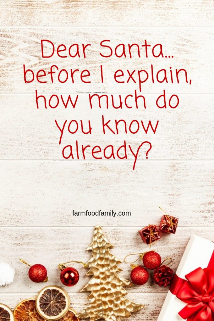 30+ Funny Christmas Quotes & Sayings That Make You Laugh
