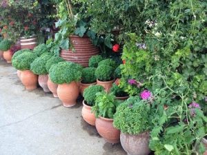 10 Creative Garden Design Ideas to Add Style to the Landscape