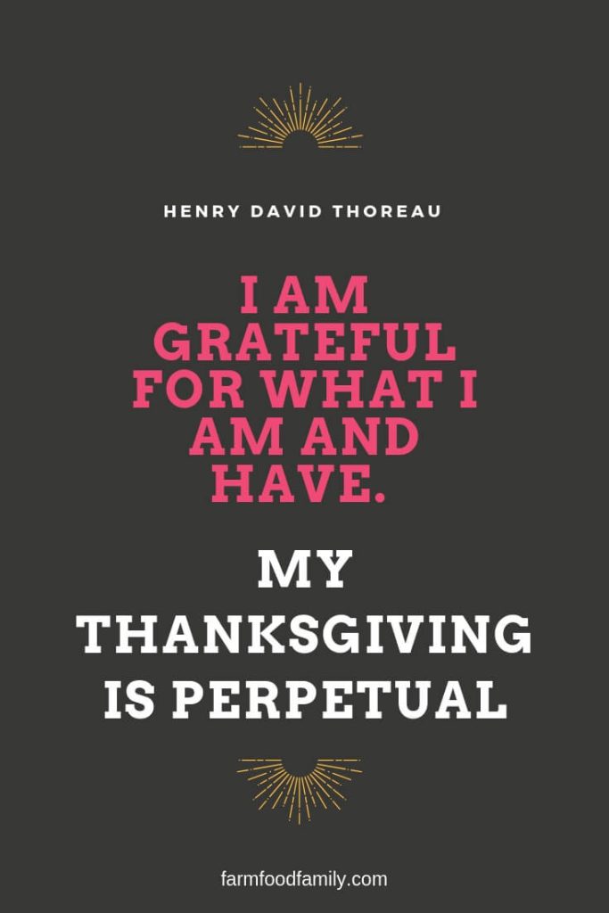 30+ Inspirational Thanksgiving Quotes For Friends and Family
