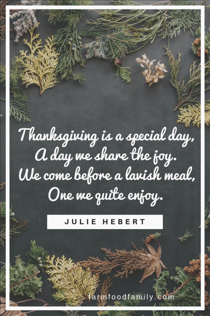 30+ Inspirational Thanksgiving Quotes For Friends and Family
