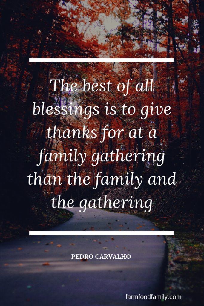 30+ Inspirational Thanksgiving Quotes For Friends and Family