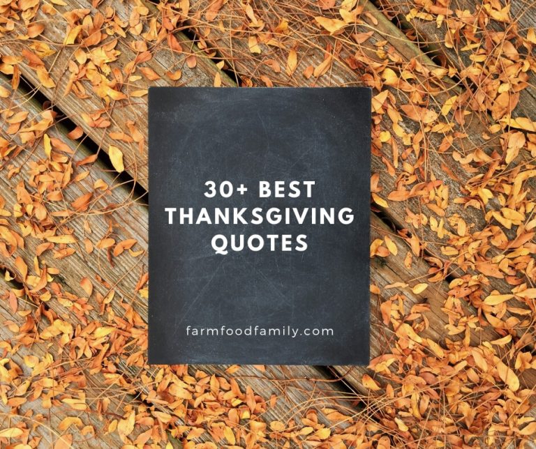 30+ Inspirational Thanksgiving Quotes For Friends and Family