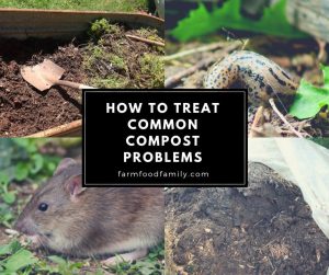 How to Treat Common Compost Problems - FarmFoodFamily