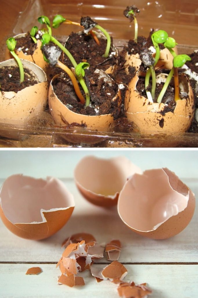 10 Container Gardens for Kids: Weekend Gardening Project for Children