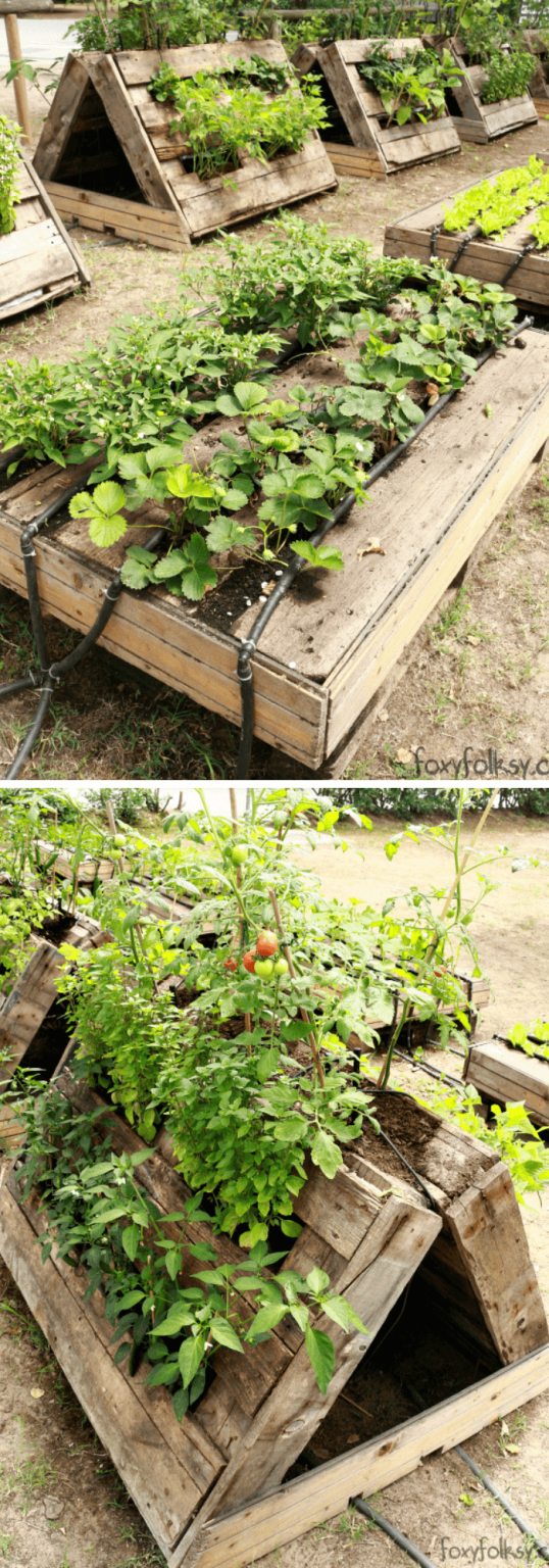 Urban Gardening: How To Build A Raised Bed (15 Ideas)