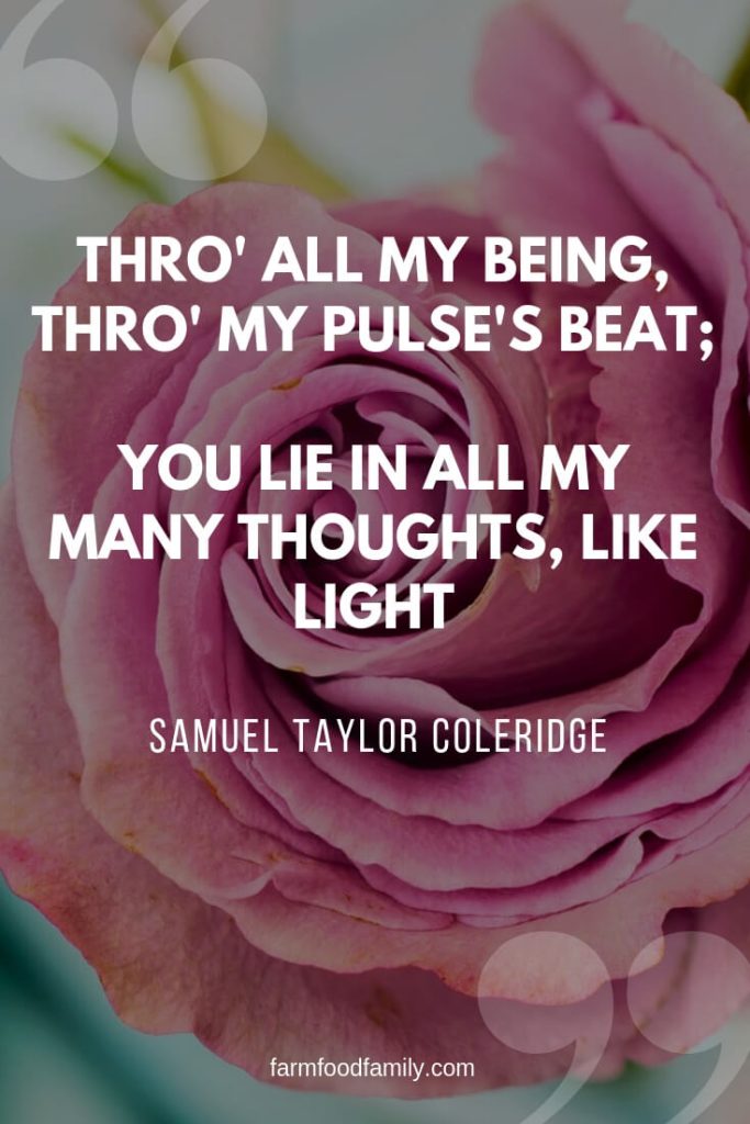 11 Valentine's Day Love Poems for a Unique Valentine Gift