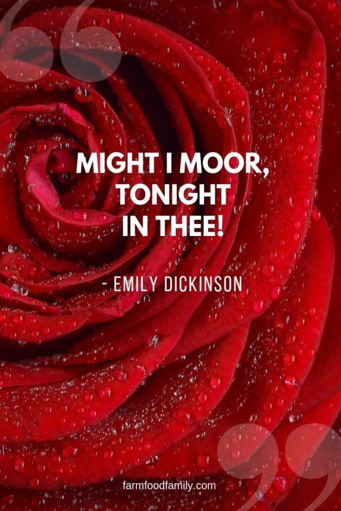 11 Valentine's Day Love Poems for a Unique Valentine Gift