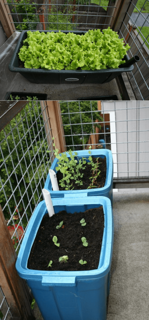 Urban Gardening: How To Build A Raised Bed (15 Ideas)