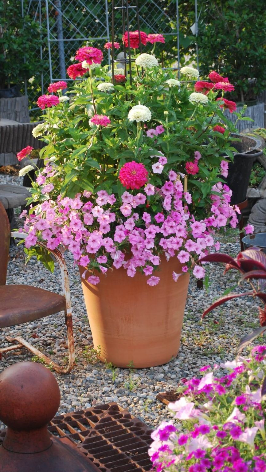 10 Container Gardens for Kids: Weekend Gardening Project for Children