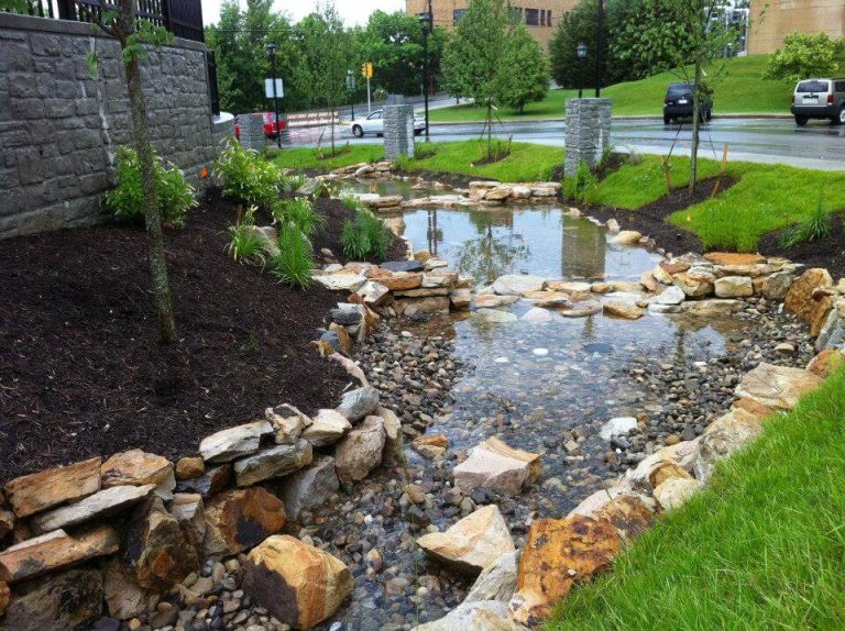 Create a Rain Garden, Utilize Rain Run-off from Roofs, Driveways