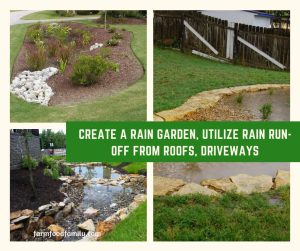 Create a Rain Garden, Utilize Rain Run-off from Roofs, Driveways