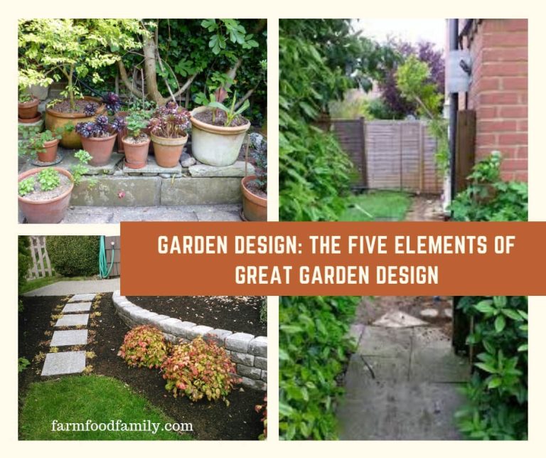 Garden Design: 5 Elements of Great Garden Design