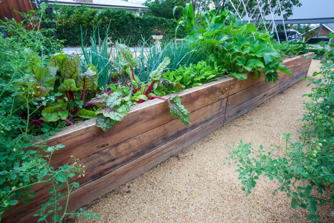 Urban Gardening: How To Build A Raised Bed (15 Ideas)