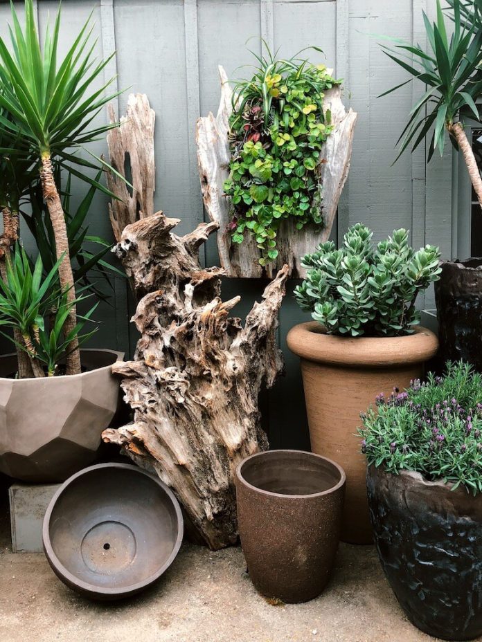 10 Container Gardens for Kids: Weekend Gardening Project for Children