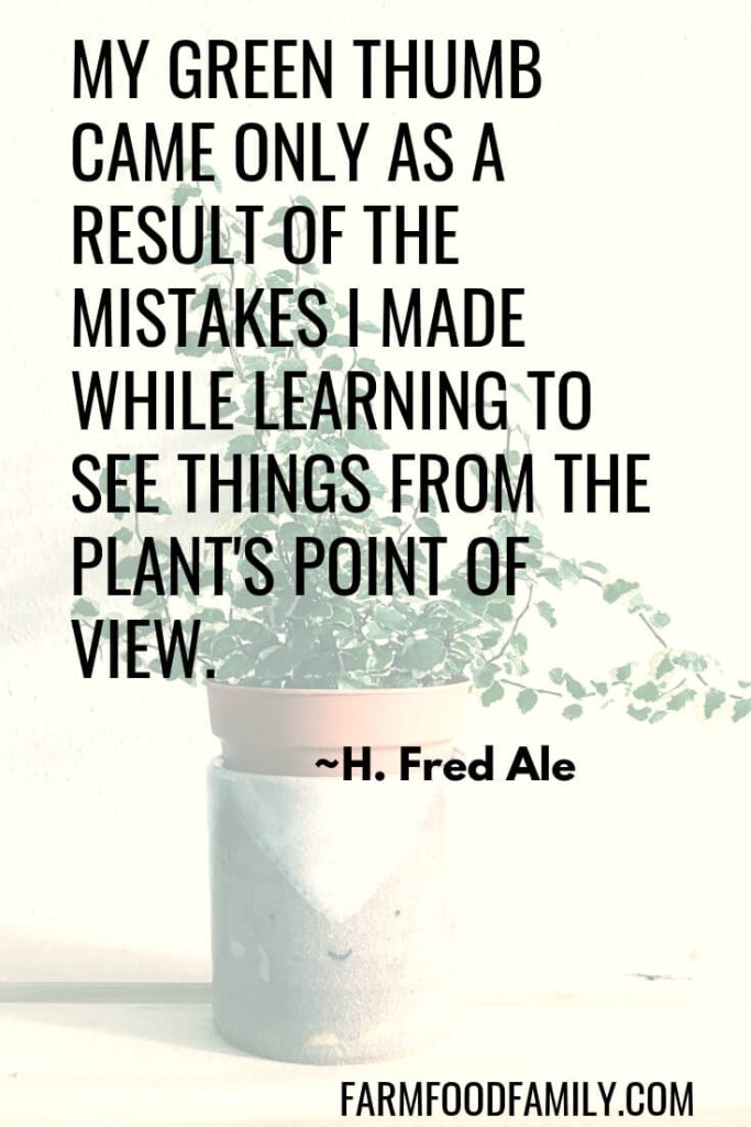 16 Quotes for Houseplant Lovers (Indoor Gardening) - FarmFoodFamily
