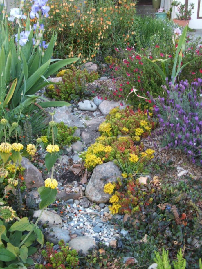 Build Your Own Rain Garden - FarmFoodFamily