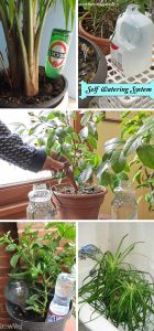 31+ Clever DIY Self-Watering Container Garden Ideas When You're Away