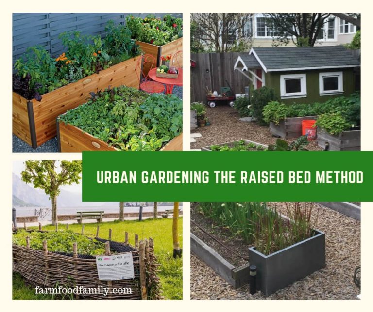 Urban Gardening: How To Build A Raised Bed (15 Ideas)