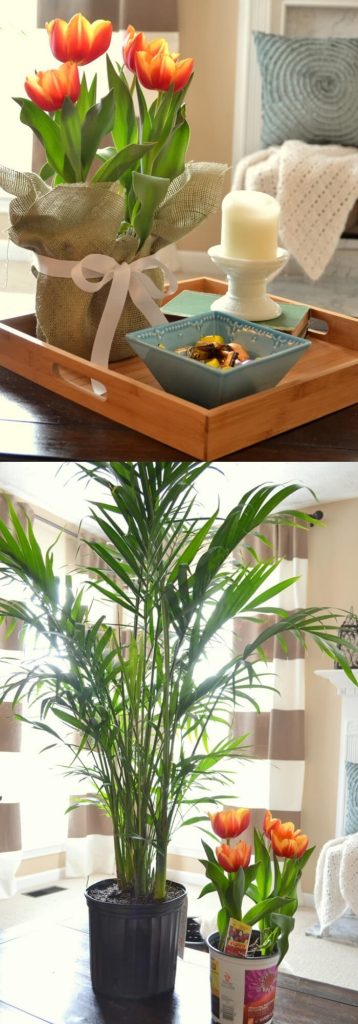 Spring Spruce-Up - Quick, Cheap Home Décor Ideas - FarmFoodFamily