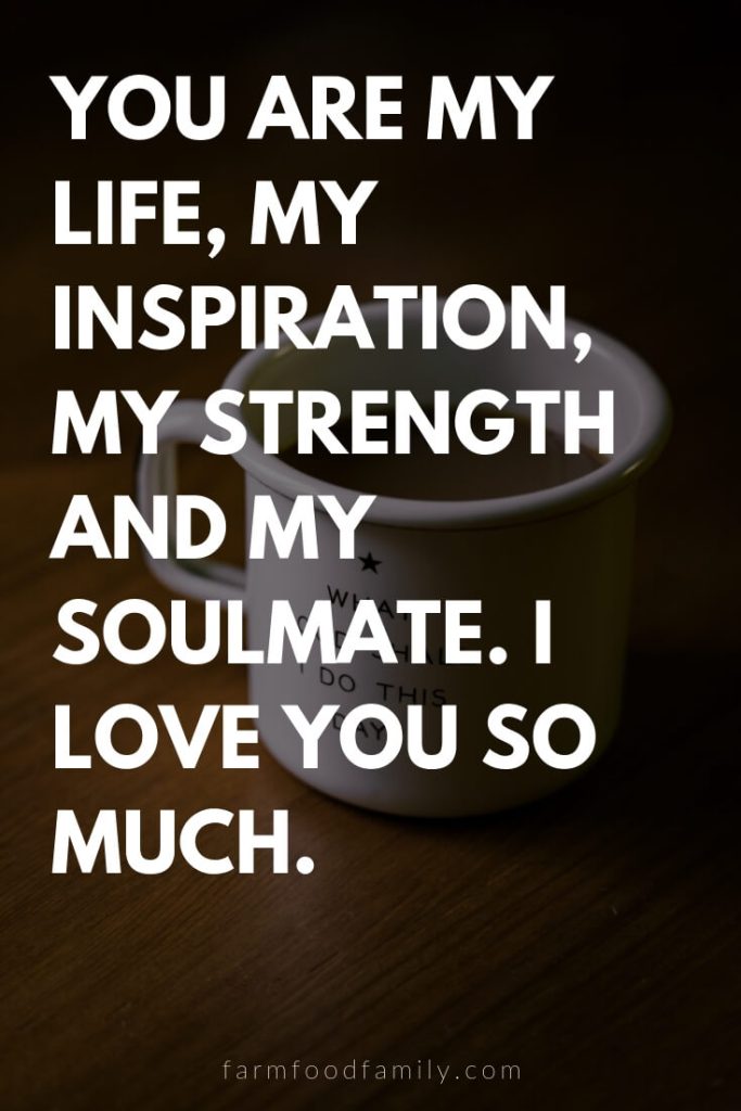 37+ Cute and Sweet Love Quotes For Him With Images