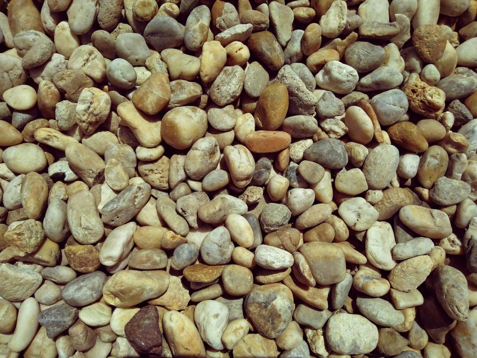 40+ Stunning Dry River Bed Ideas That Transform Your Yard (2026)