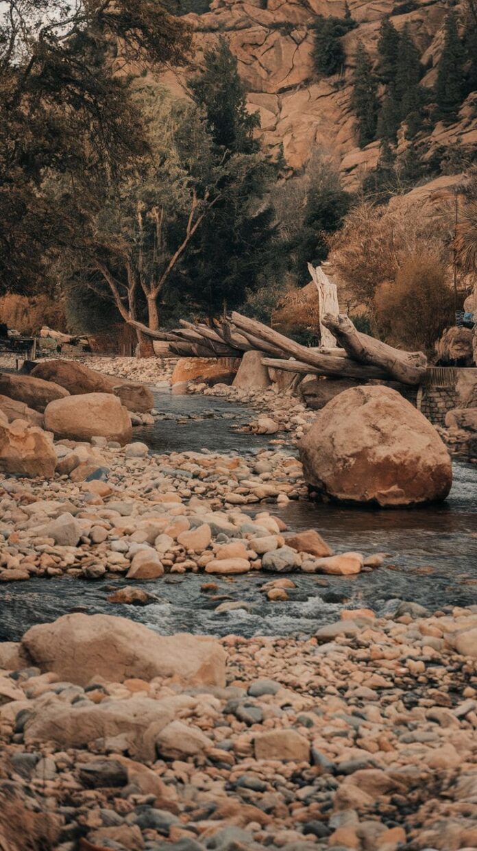 40+ Stunning Dry River Bed Ideas That Transform Your Yard (2026)