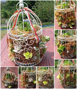15+ Best Repurposed Bird Cage Planter Ideas for 2024