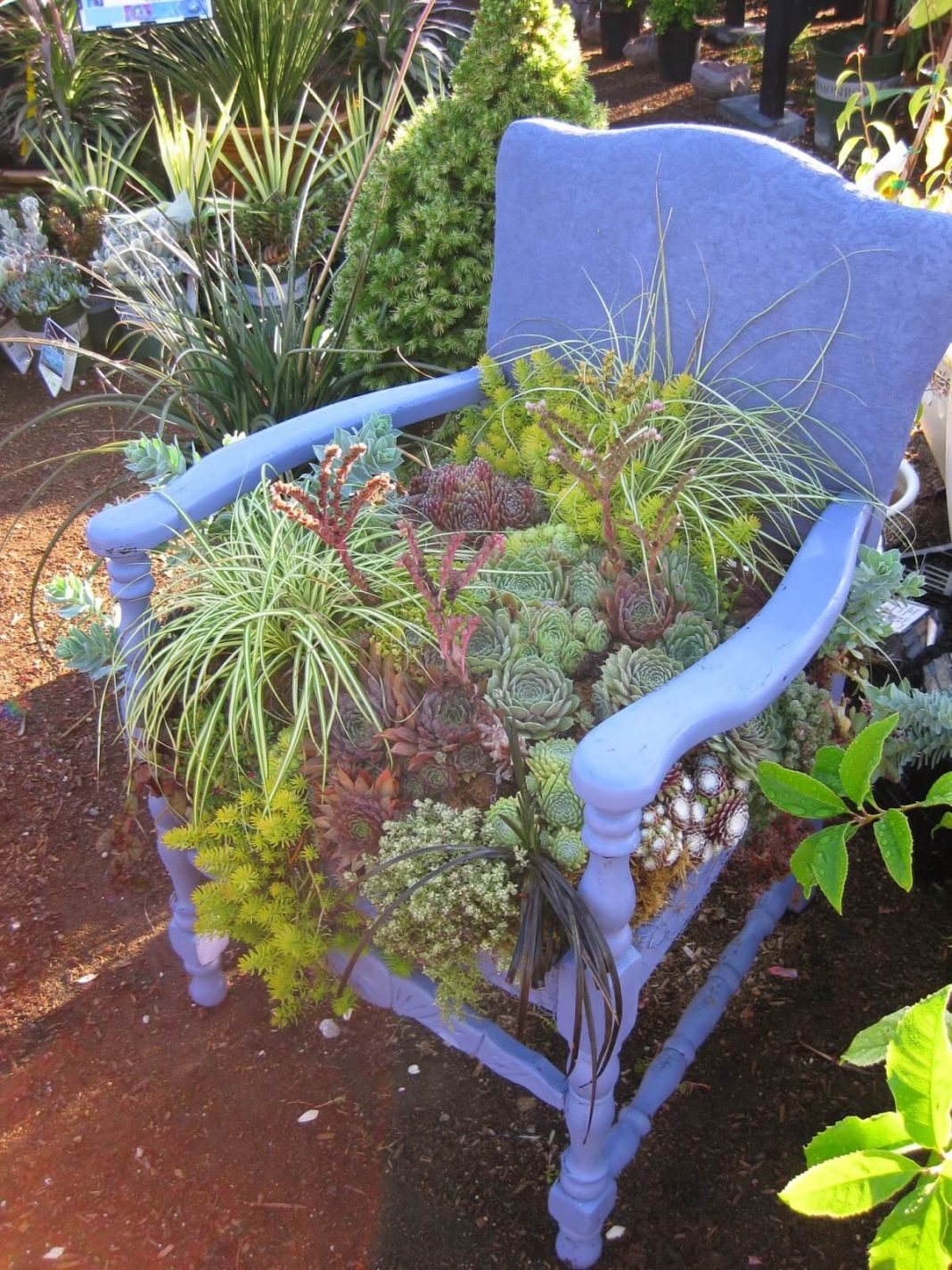 28+ Best Upcycled Chair Planter Ideas to Inspire You (2024)