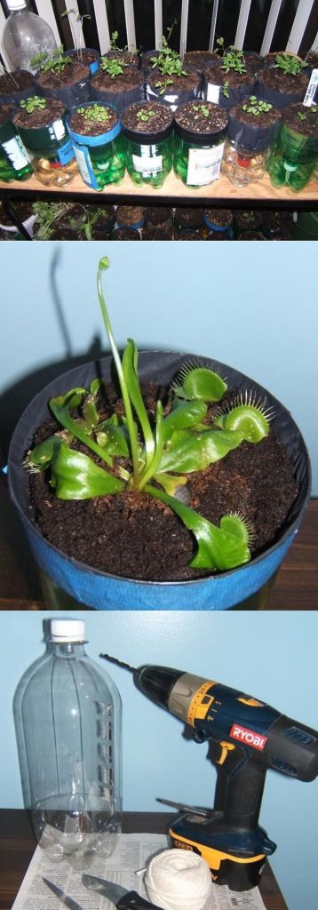 31+ Clever DIY Self-Watering Planter Ideas for Effortless Gardening (2024)