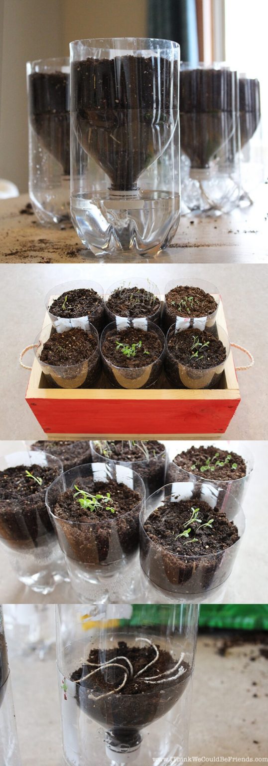 31+ Clever DIY Self-Watering Planter Ideas for Effortless Gardening (2024)