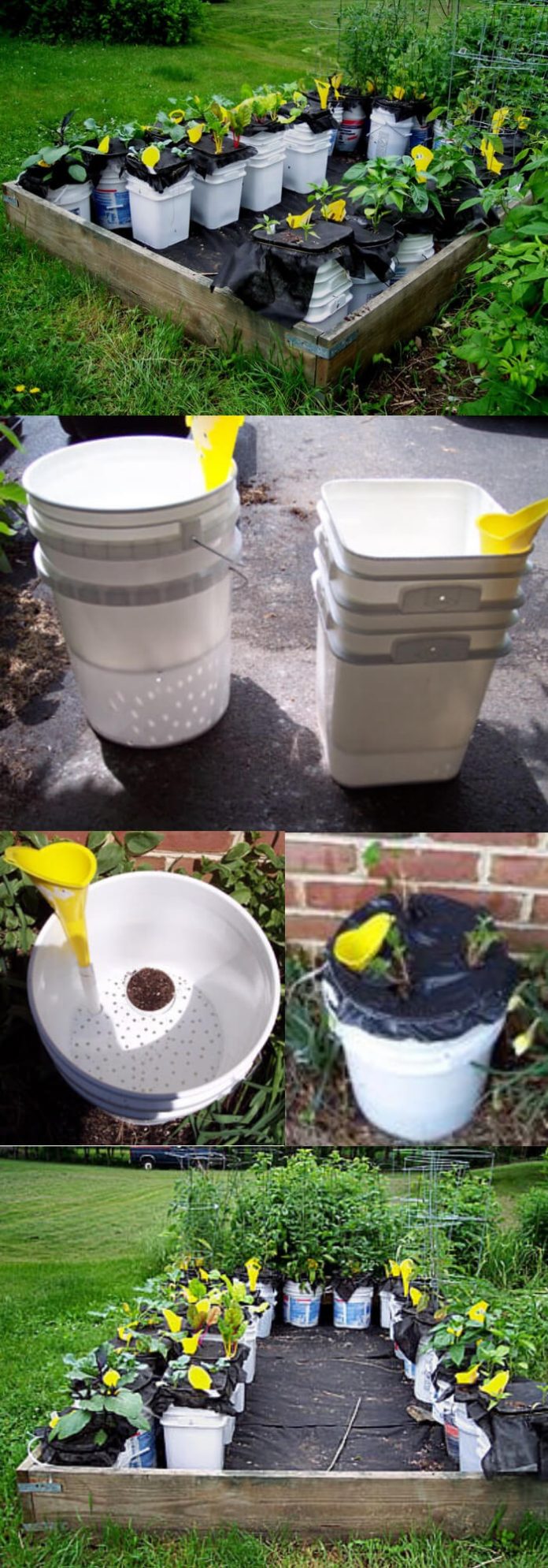 31+ Clever DIY Self-Watering Planter Ideas for Effortless Gardening (2024)