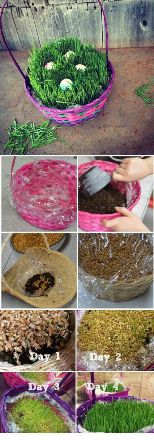 23+ Creative Easter Garden Projects & Ideas Your Kids Will Love For 2024