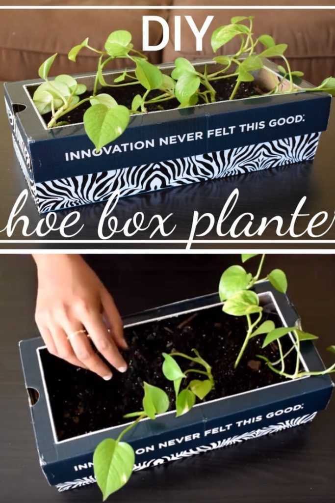 10+ Best Repurposed Garden Ideas Using Shoe Box