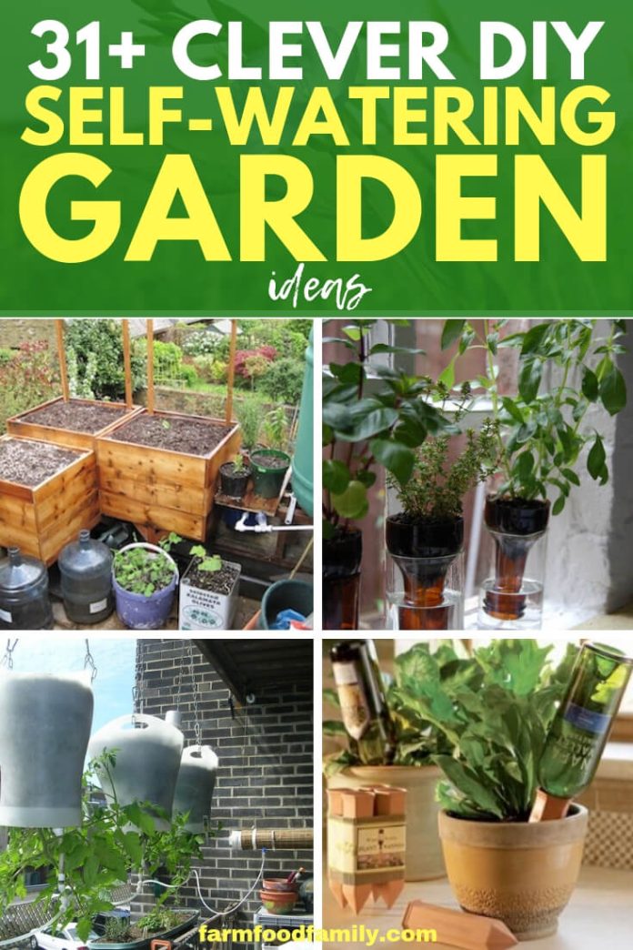 31+ Clever DIY Self-Watering Planter Ideas for Effortless Gardening (2024)