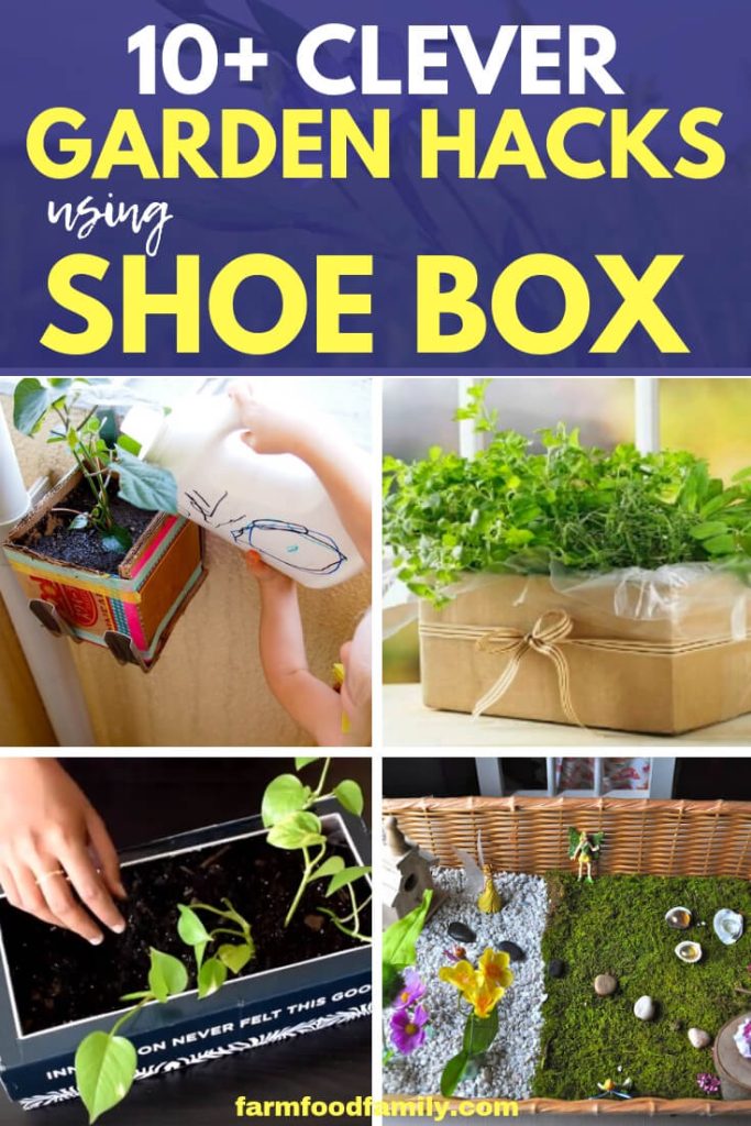 10+ Best Repurposed Garden Ideas Using Shoe Box