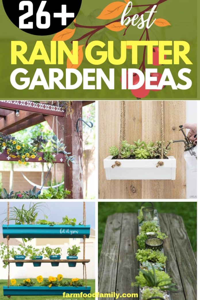26+ Best DIY Vertical Rain Gutter Garden Ideas For Small Spaces