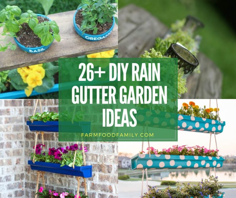 26+ Best DIY Vertical Rain Gutter Garden Ideas For Small Spaces