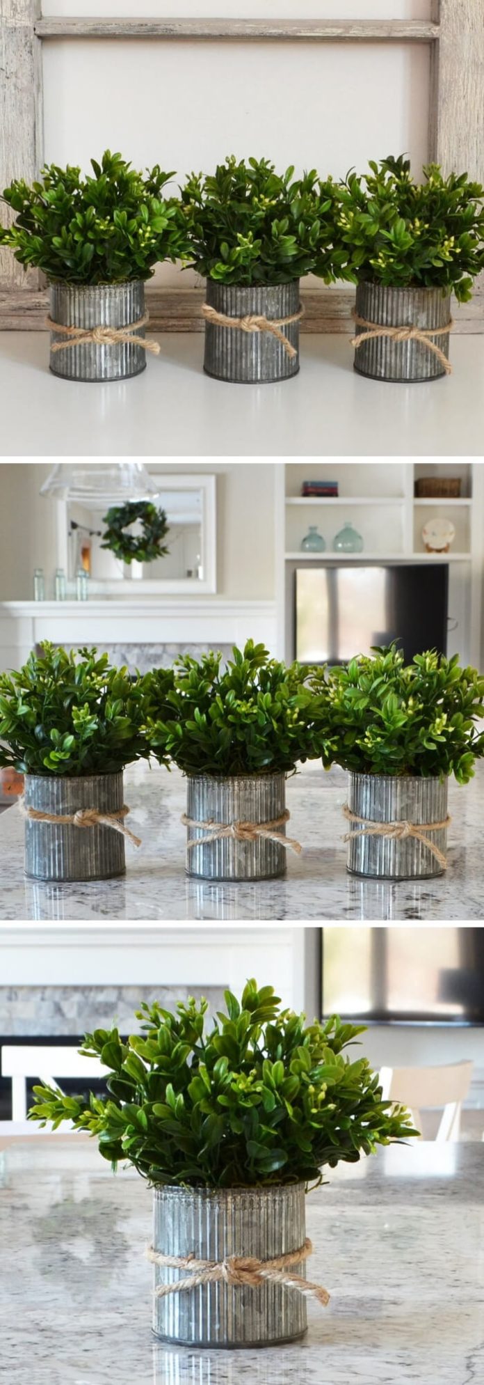 22+ Best Farmhouse Indoor Plant Decor Ideas & Designs For 2024