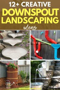 12 Best Downspout Landscaping Ideas Designs For 2024