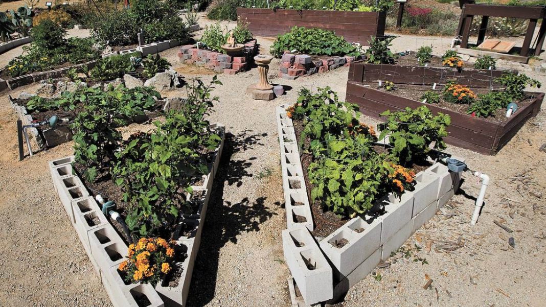 17+ Creative Cinder Block Outdoor Ideas & Designs For 2024